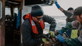 Q&A with Fishtek's Rob Enever on scallop potting